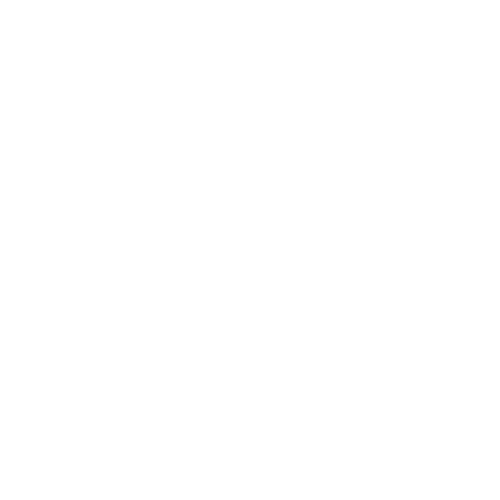 All Mobile | Window Tint, Auto Glass & Clear Bra Protection